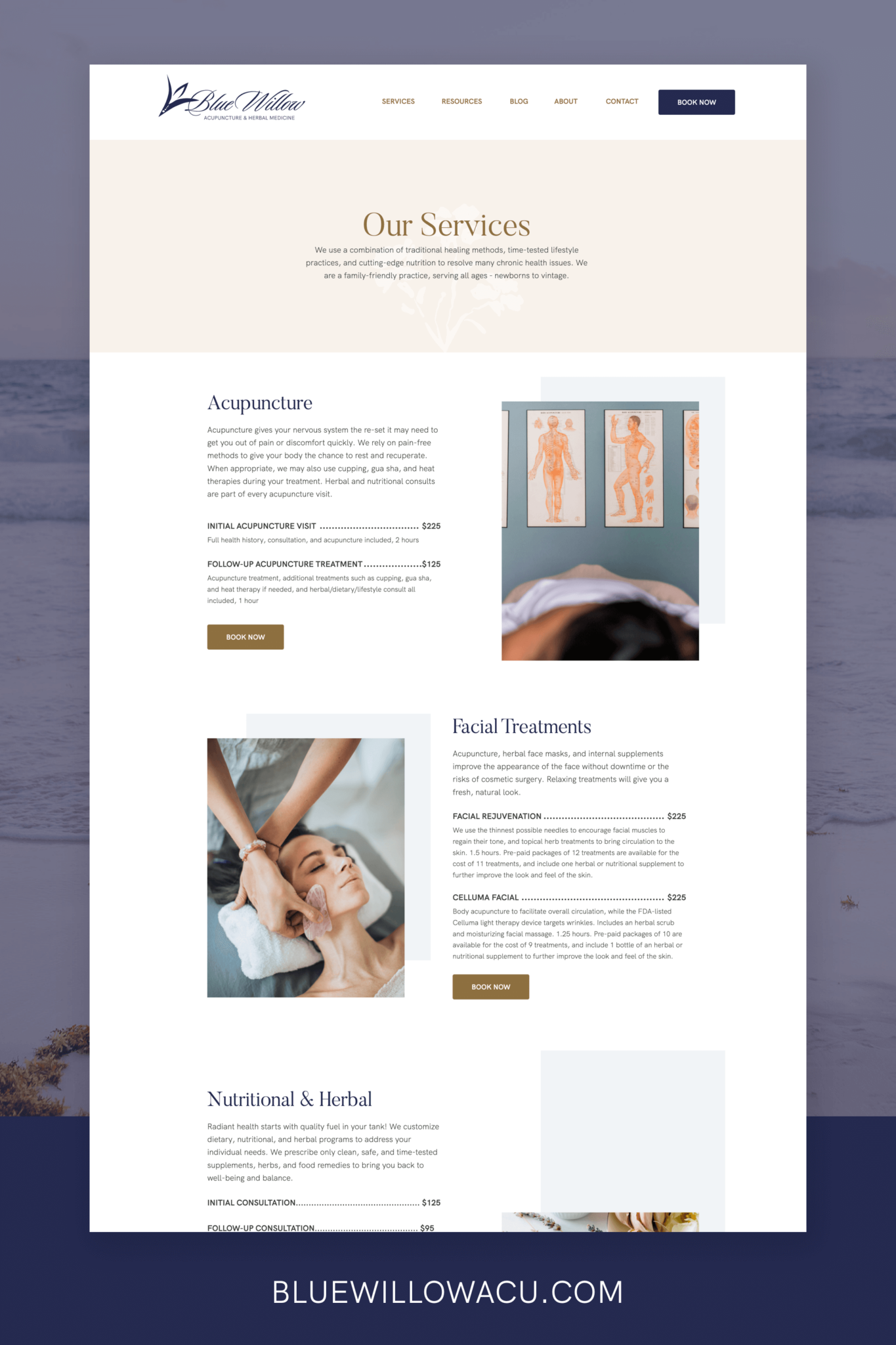 Blue Willow Acupuncture - The Lovely Geek®